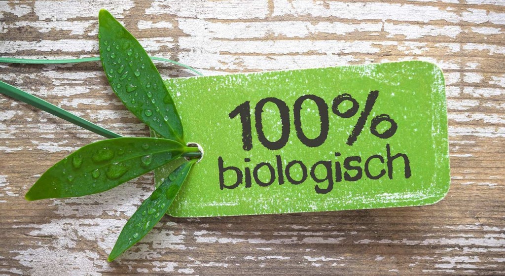 Wenn „bio“ draufsteht, ist dann auch bio drin? – Biosiegel und was sie ...